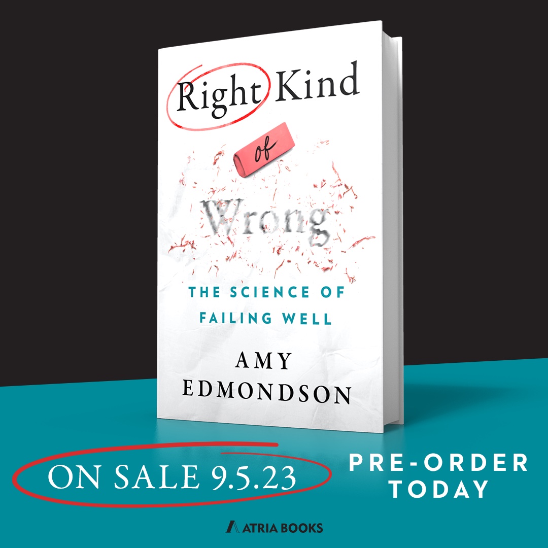 Professor Amy C. Edmondson